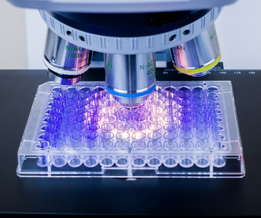 PRV Catastrophic Flood & Microbial Testing - TESTAUSTRALIA